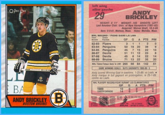 Andy Brickley | Hockey Card Database Wiki | Fandom